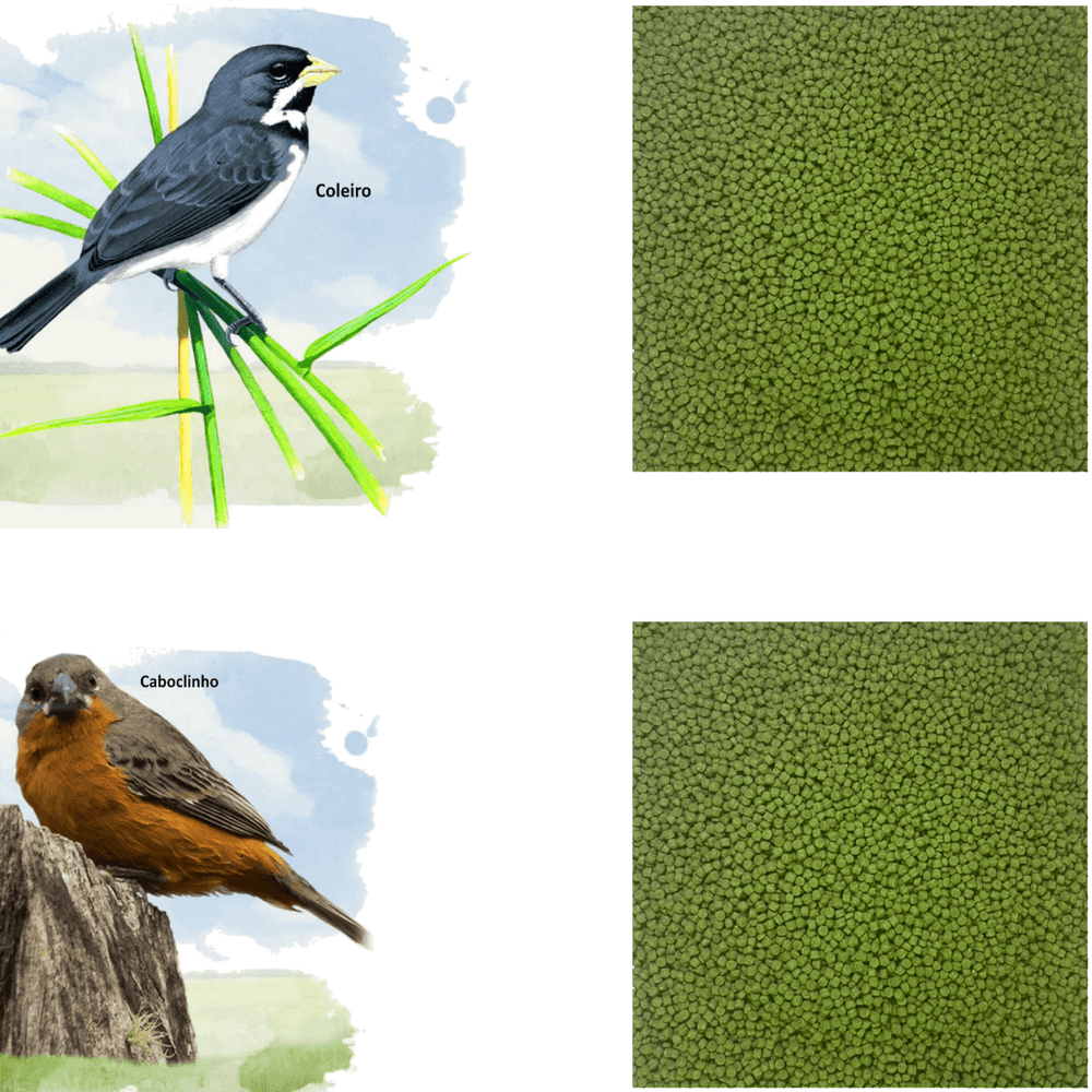 Alcon Club Coleiro Green 325g Super Premium - Drogaria Sao Paulo