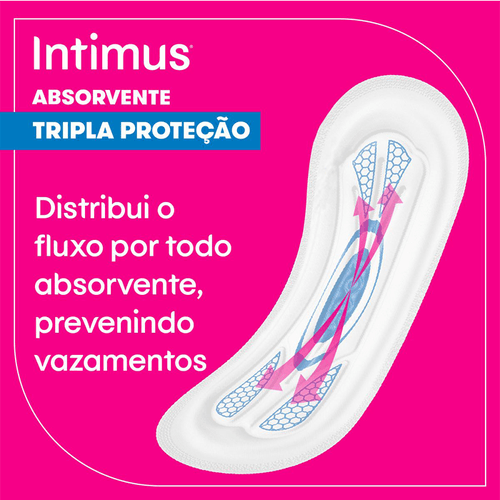 Absorvente Intimus® Tripla Proteção Seca S/Abas 8 unidades - Drogaria ...