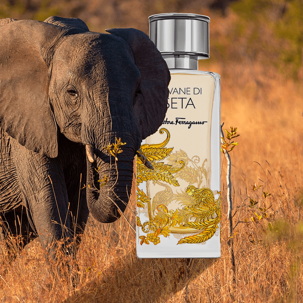 Salvatore Ferragamo Savane di Seta Eau de Parfum - Perfume Unissex ...