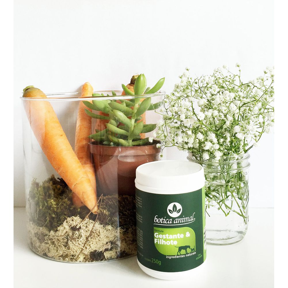 Suplemento Natural Gestante e Filhote Botica Animal Pote 250g ...