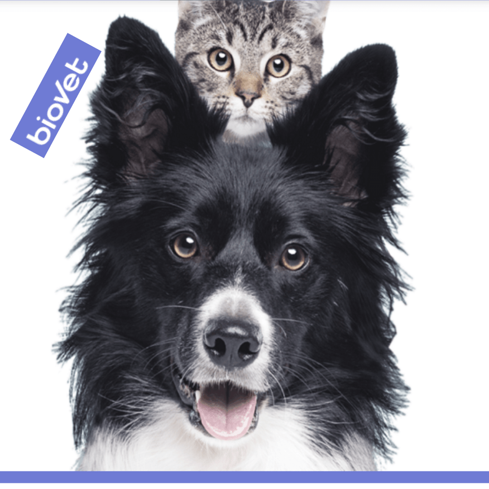 Dexatabs Vita para Cães e Gatos 1mg com 12 comprimidos - Biovet ...