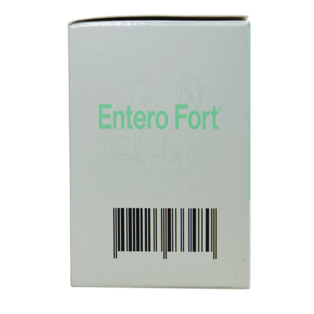Suplemento Alimentar Entero Fort 2000mg C/ 60 Comp. para Cães e Gatos ...