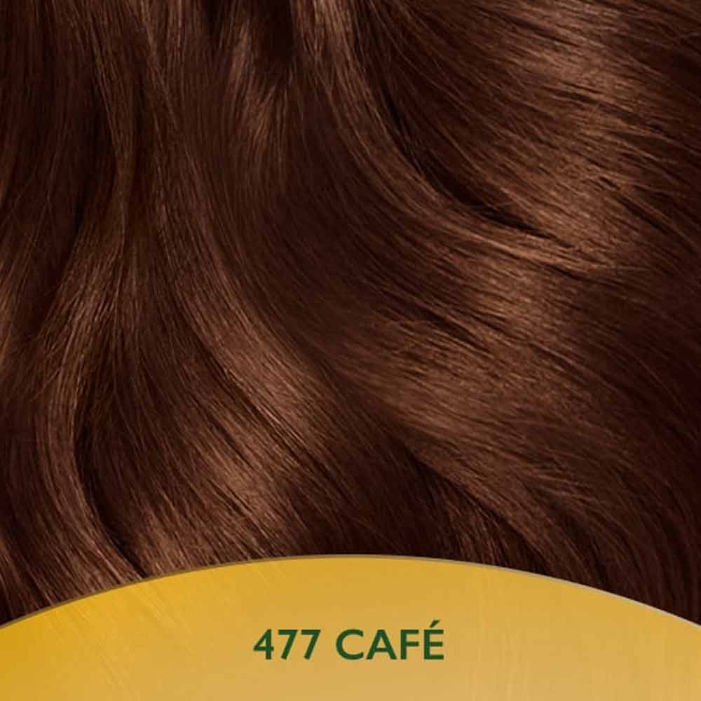 Kit Tonalizante Soft Color Café - 477 - Drogaria Sao Paulo