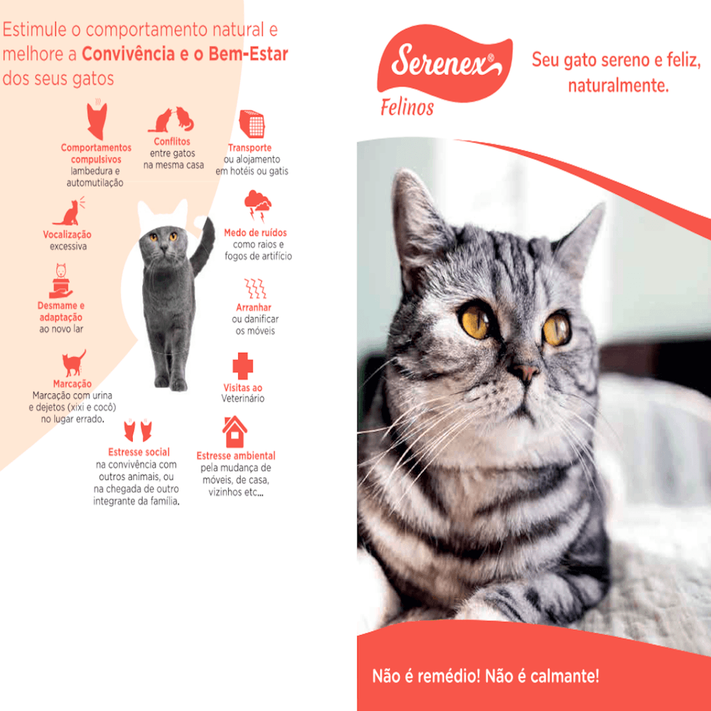 Serenex Spray 25ml Para Gatos Kit Com 3 unidades - Drogaria Sao Paulo
